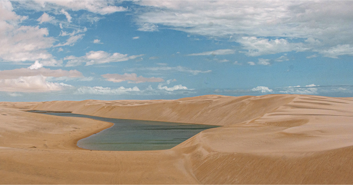 Oásis - Família Vila